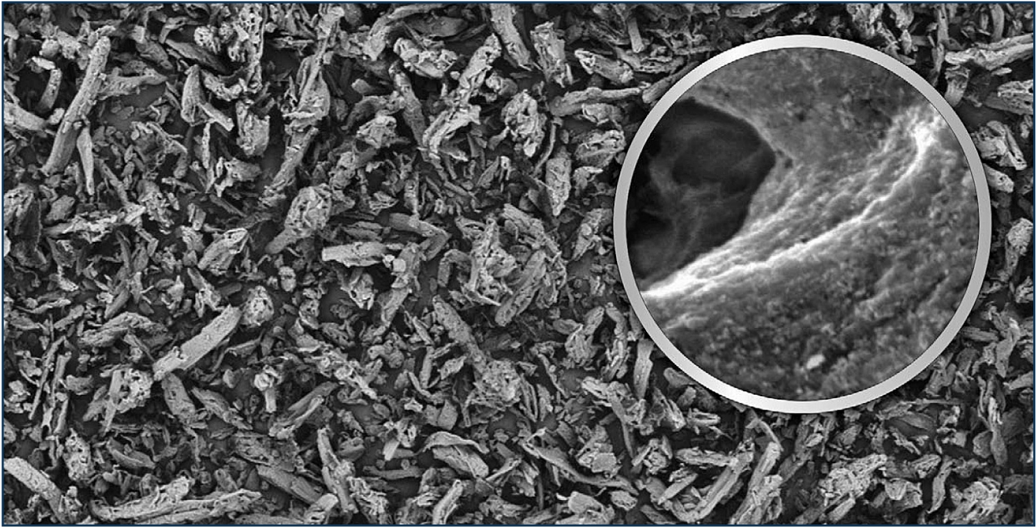 PROSOLV® SMCC – Високофункціональна допоміжна речовина | Фармацевтична ...